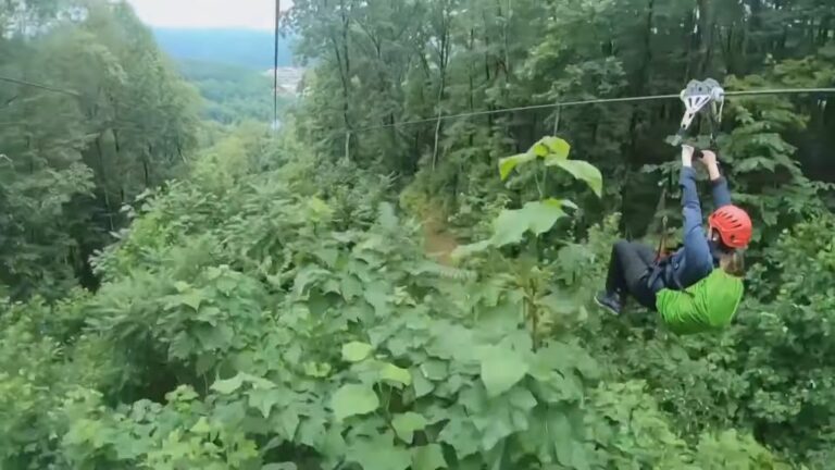 What Is a Jamboree? Behind the Scenes